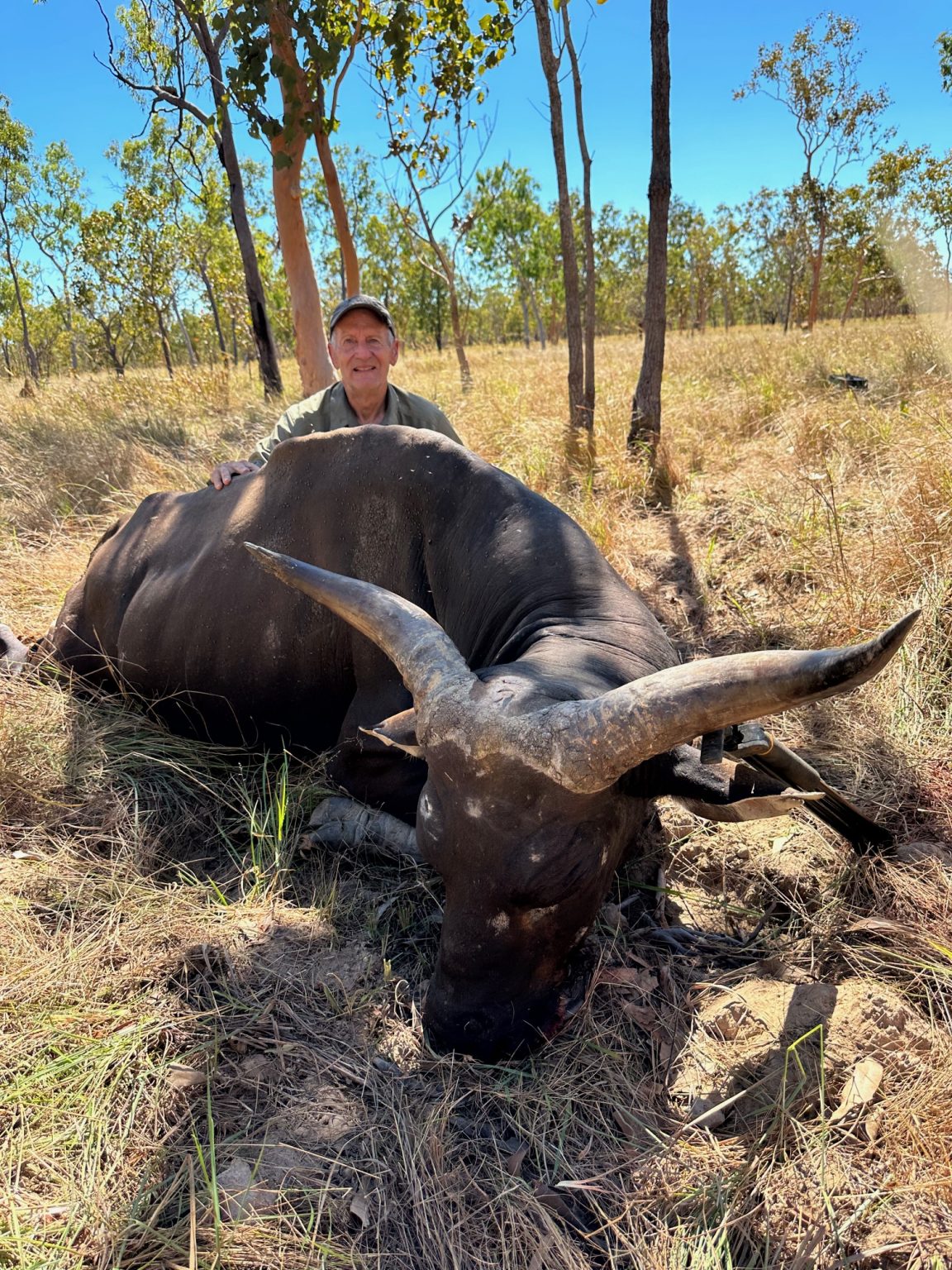 Banteng Hunt - Australian Outfitters by Andrew Mackay