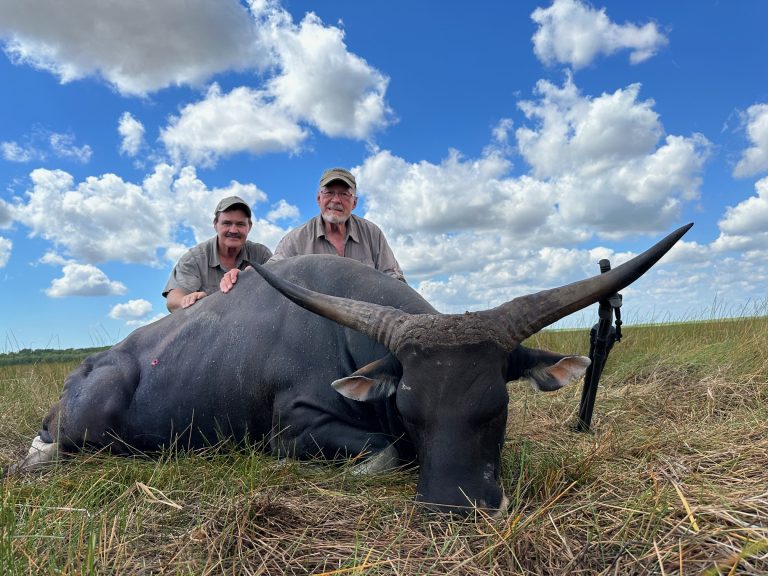 Banteng Hunt - Australian Outfitters by Andrew Mackay
